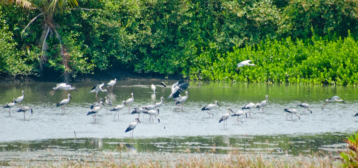 Local Tourism – SANTHI
